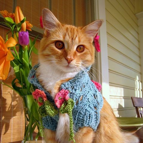 Custom Visualizations in PowerApps Canvas – Progress/Usage Bars - 365 ...